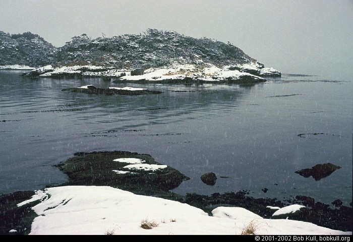 A Year in Wilderness Solitude: Winter 2001: Snow on Island
